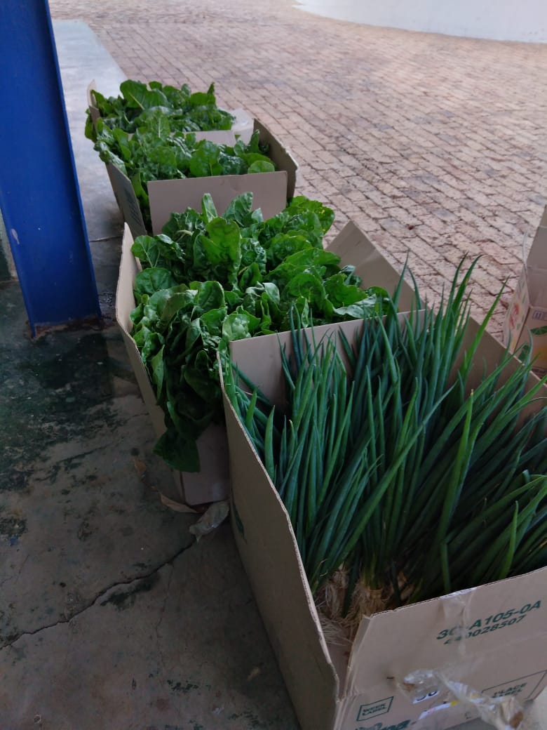 Ekurhuleni Agricultural College Fresh Produce – Ekurhuleni Agricultural ...